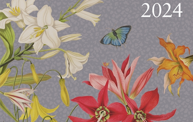 Schön illustrierte Kalender